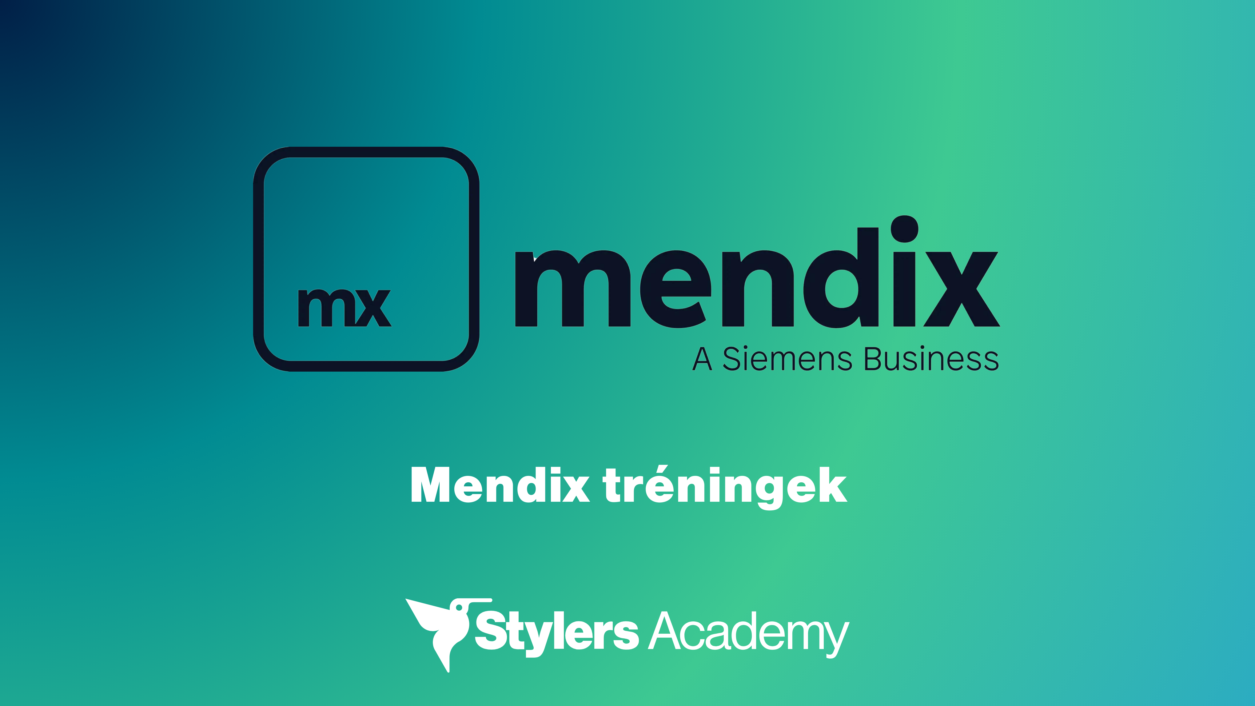 Mendix - Stylers Group